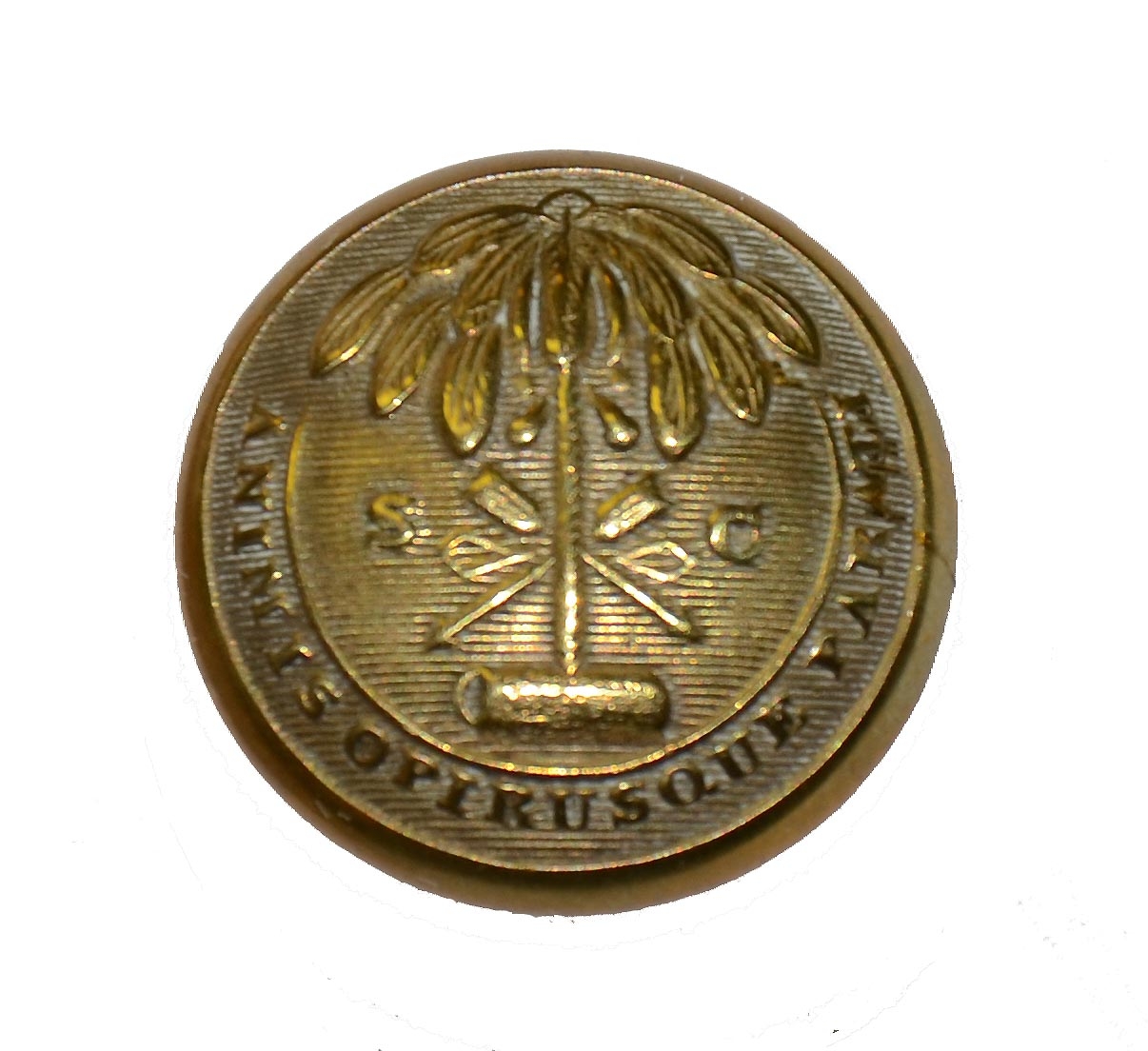 SOUTH CAROLINA MILITIA COAT BUTTON — Horse Soldier