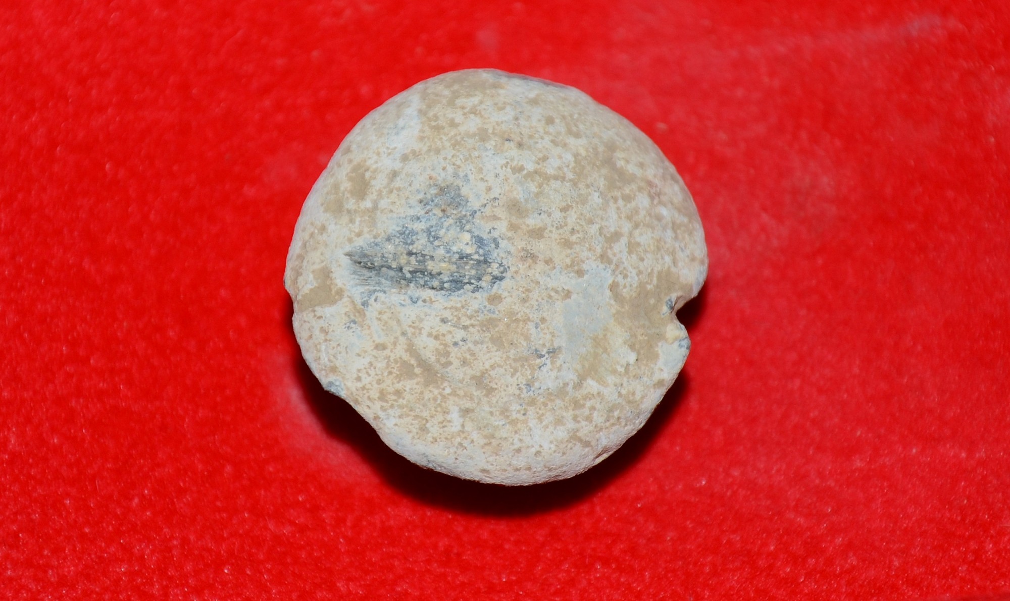 FIRED AND NICELY MUSHROOMED .58 MINIE BALL FROM GETTYSBURG — Horse Soldier