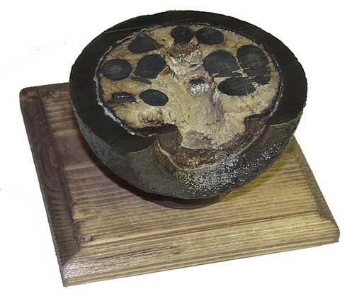 SECTIONED IN HALF CONFEDERATE-USED ARTILLERY SHELL — Horse Soldier