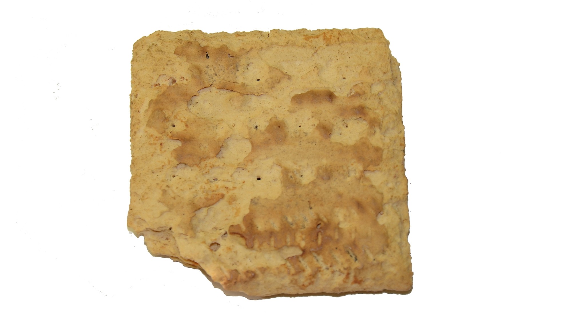 PIECE OF CIVIL WAR HARDTACK WITH NOTE — Horse Soldier