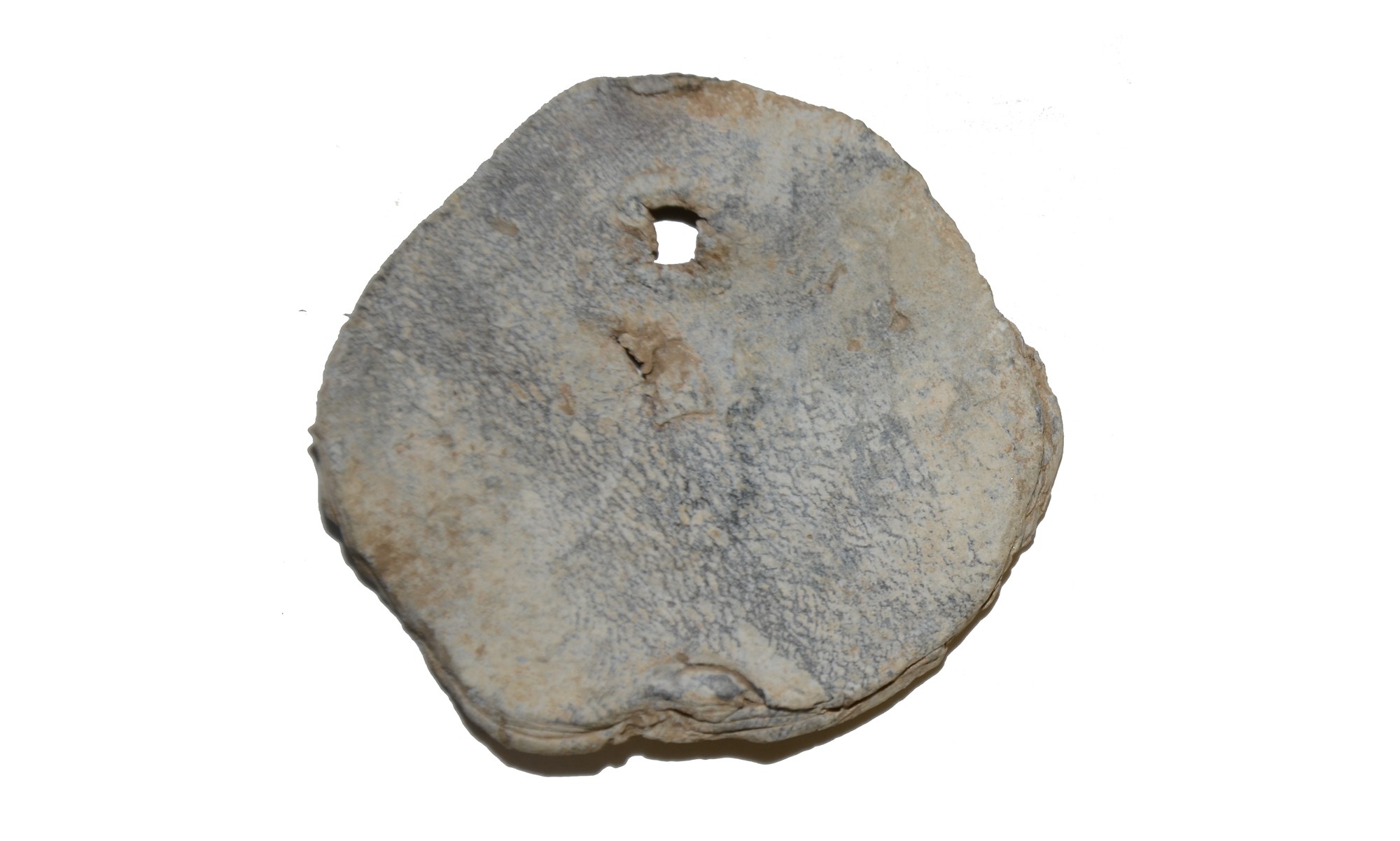 CARVED LEAD DISK RECOVERED BY THE TROSTLE FARM WOODS, GETTYSBURG ...