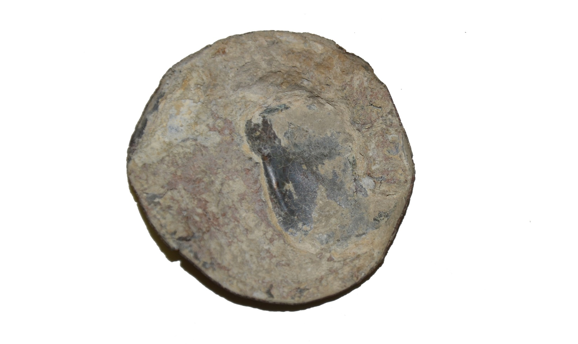 US/CS ROSETTE RECOVERED AT GETTYSBURG — Horse Soldier