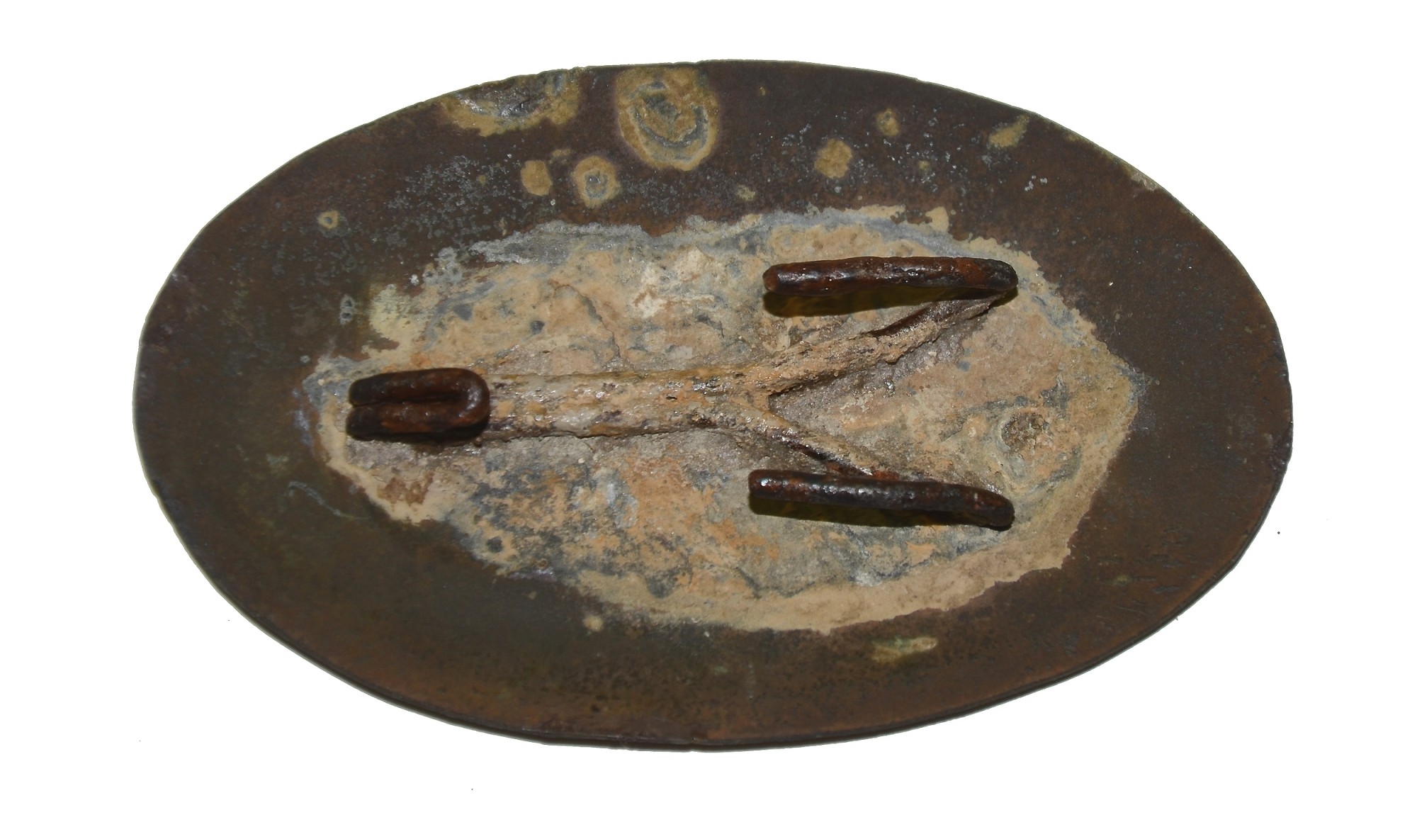 EXCAVATED OVAL “EGG-SHAPED” CS BUCKLE — Horse Soldier