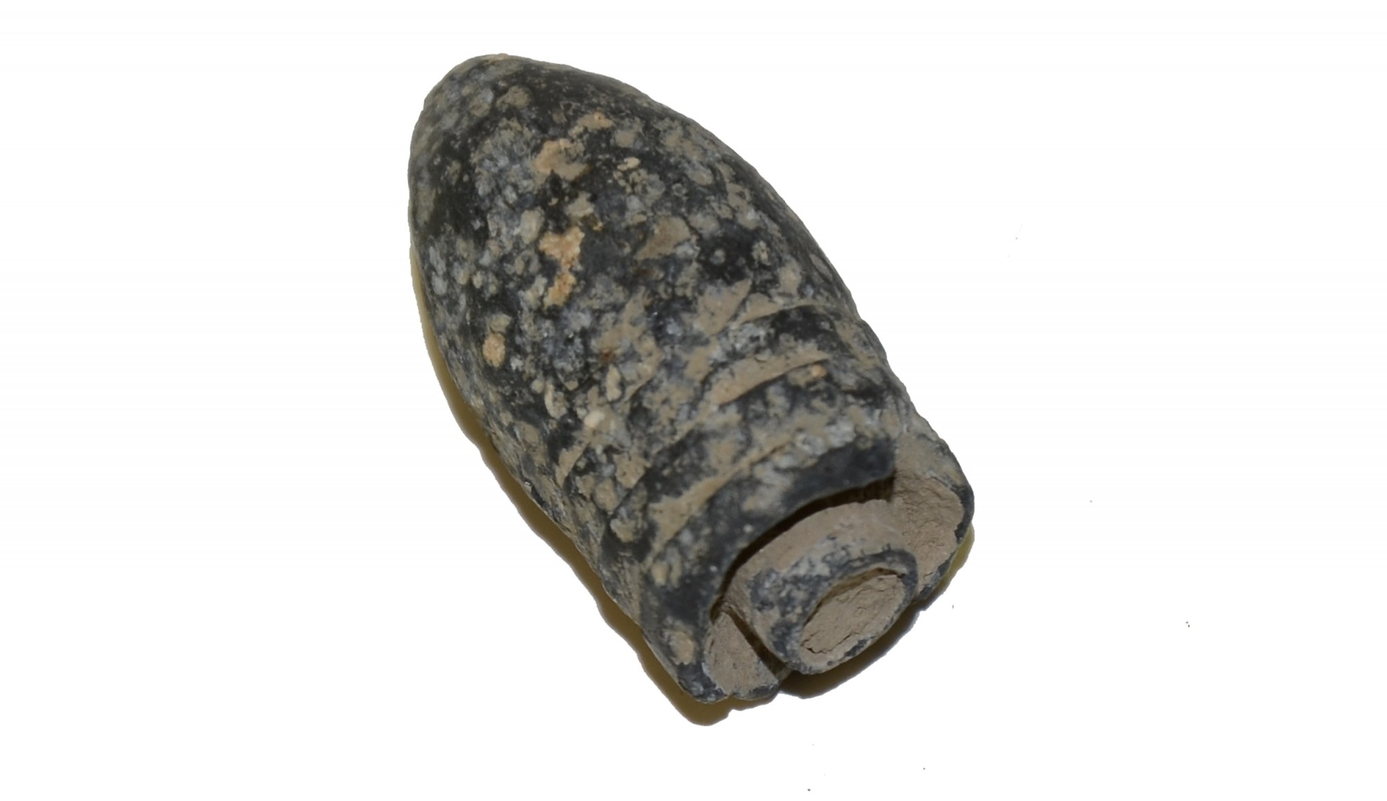 US .58 CALIBER GARDINER EXPLOSIVE BULLET, RECOVERED FROM THE PEACH ...