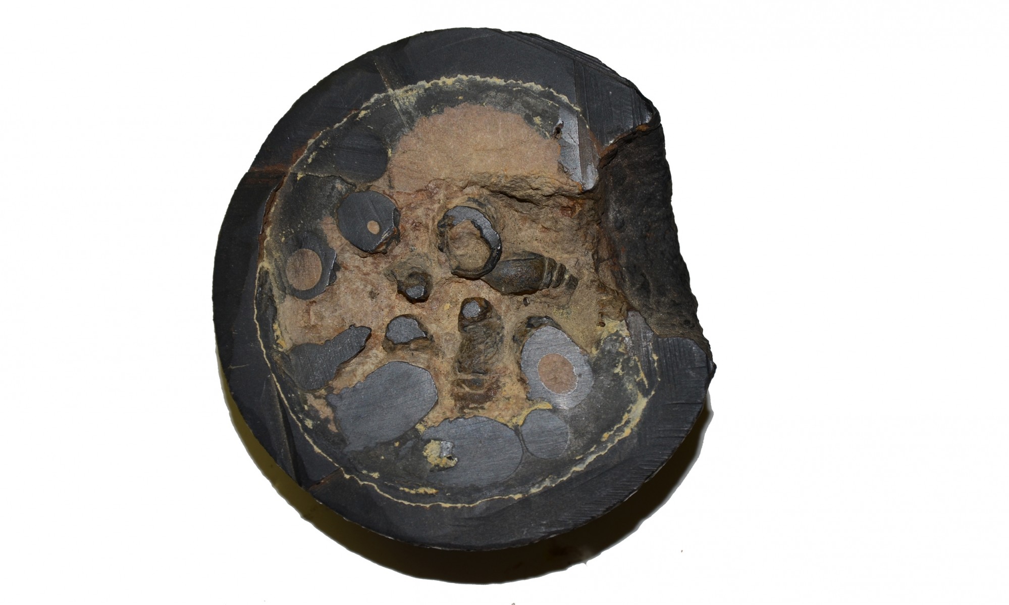 SECTIONED CS 12 POUND SPHERICAL CASE-SHOT SHELL — Horse Soldier