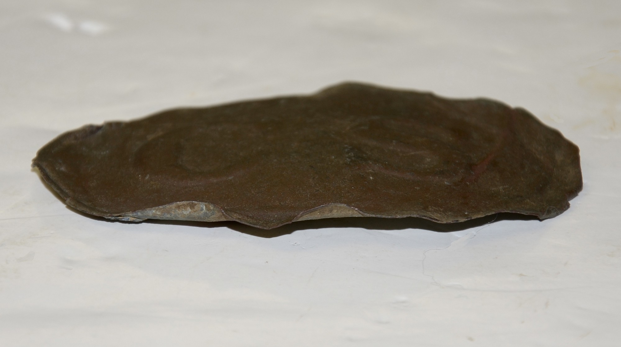 OVAL “EGG SHAPED” CS BUCKLE — Horse Soldier