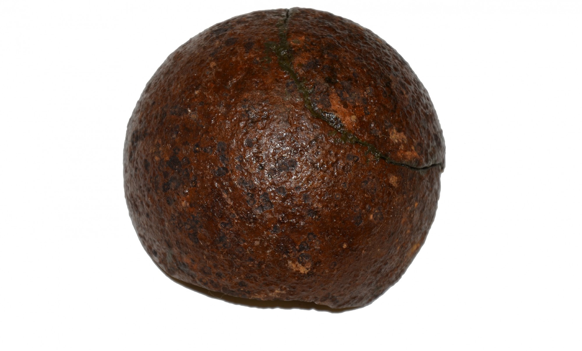 CS 4.52” 12LB BORMANN FUSED POLYGONAL SHELL — Horse Soldier