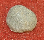 .69 CALIBER UNFIRED ROUND MUSKET BALL USED IN SMOOTHBORE MUSKETS ...