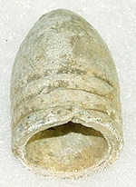 .69 CALIBER MINIE BALL DUG NEAR THE SPRINGS HOTEL ON THE FIRST DAYS ...