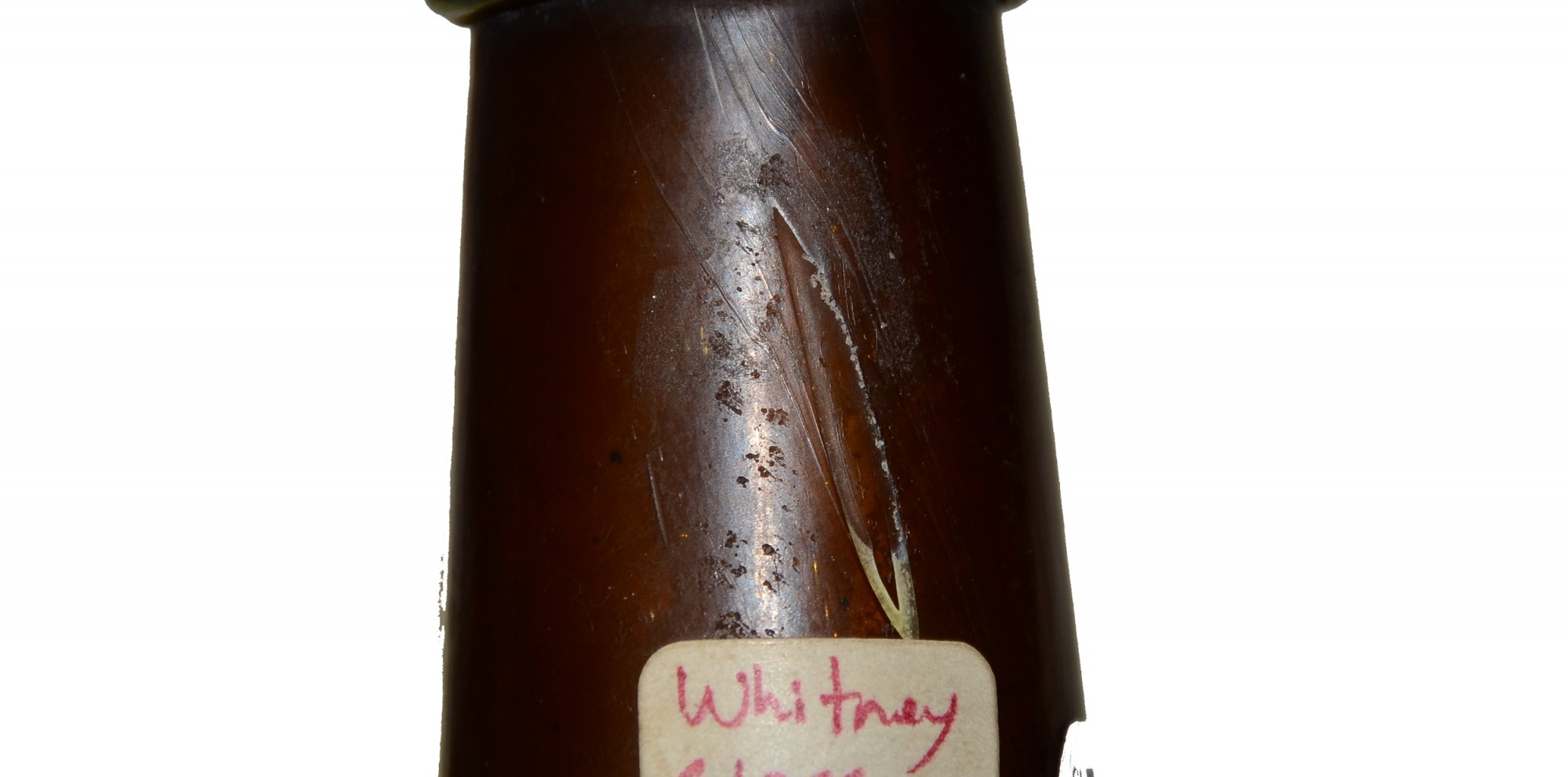 CIVIL WAR ERA WHITNEY GLASS WORKS WHISKEY BOTTLE — Horse Soldier