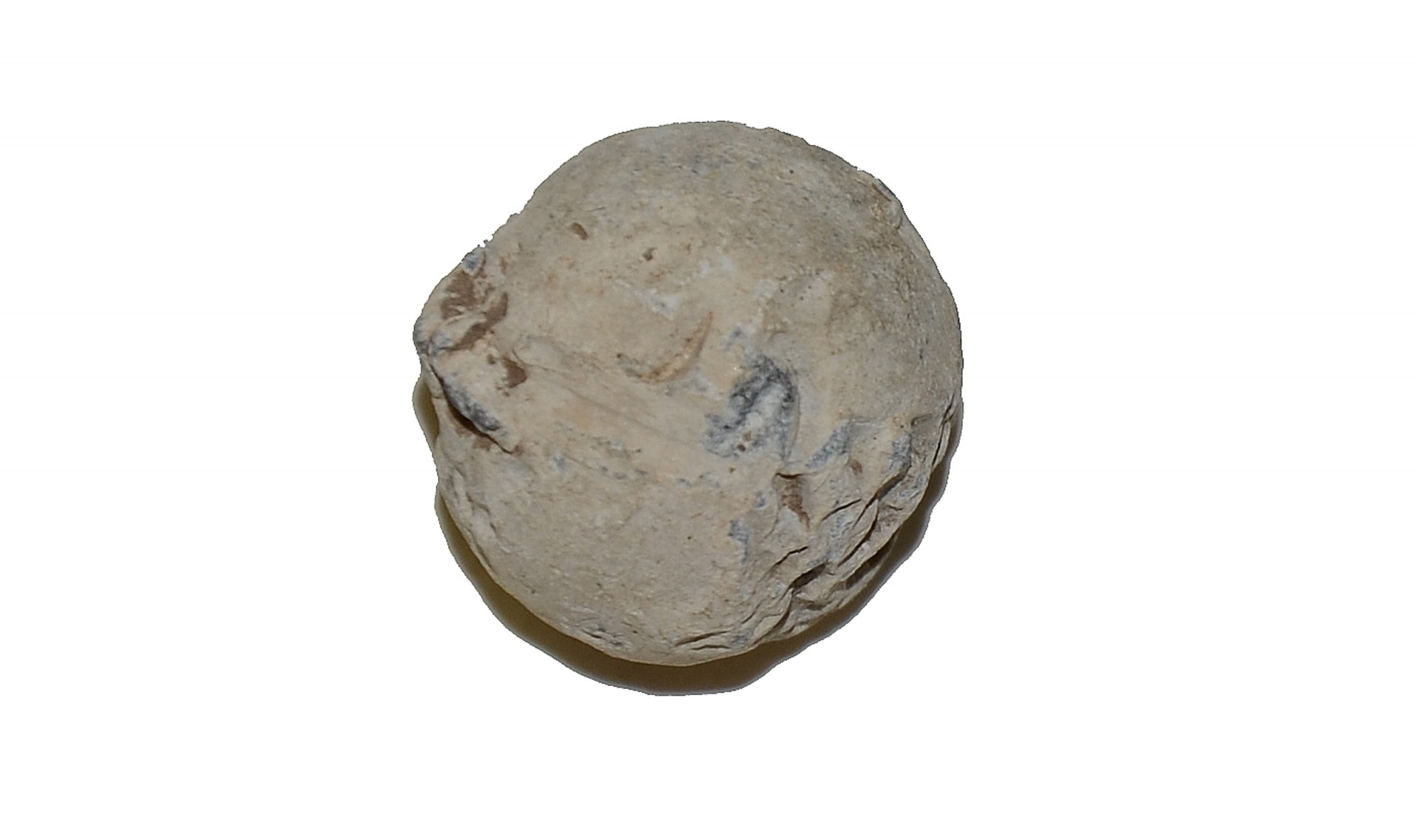 US/CS .69 CALIBER ROUND MUSKET BALL USED AS A “PAIN BULLET”, FOUND IN ...