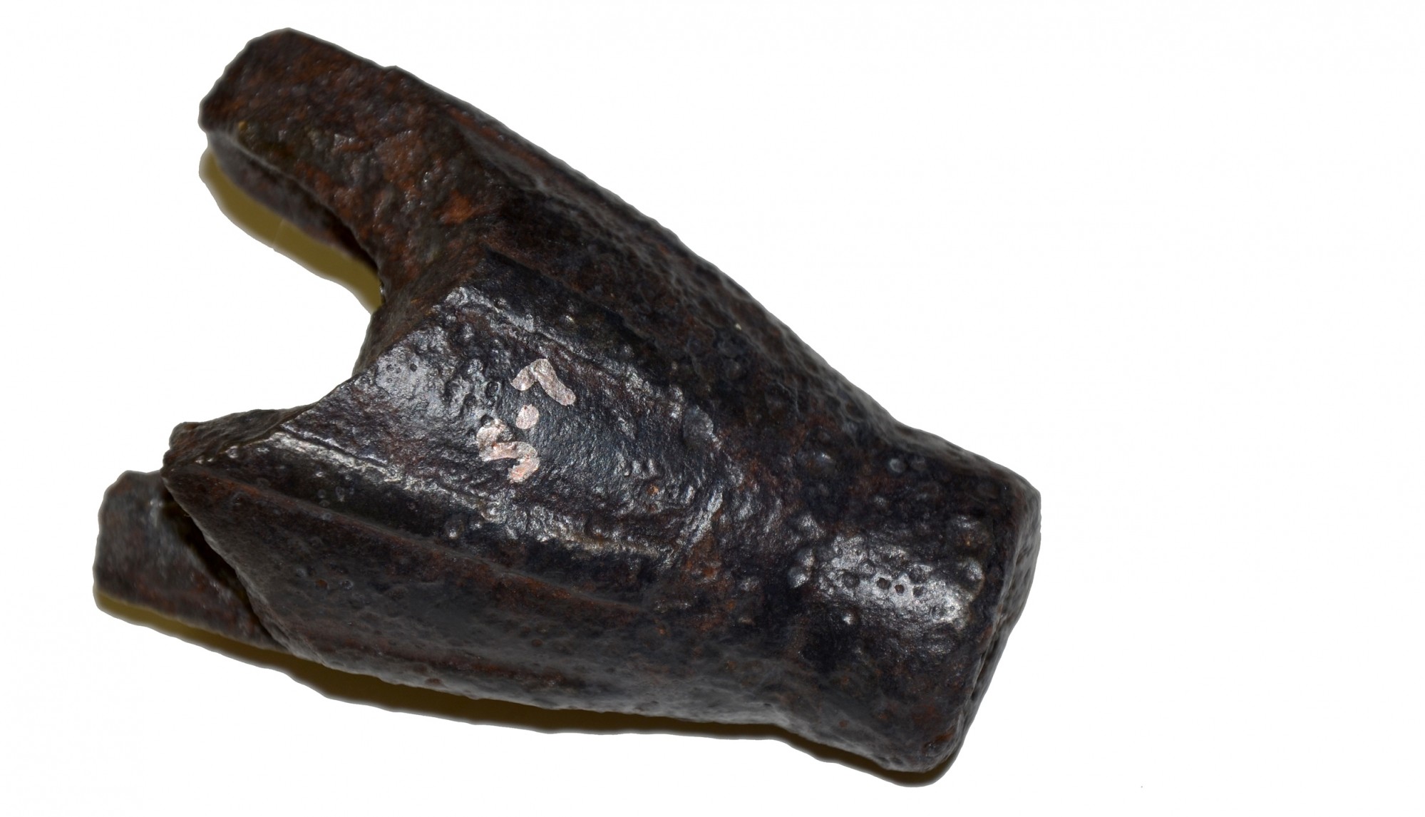 BASE SECTION OF SCHENKL SHELL — Horse Soldier