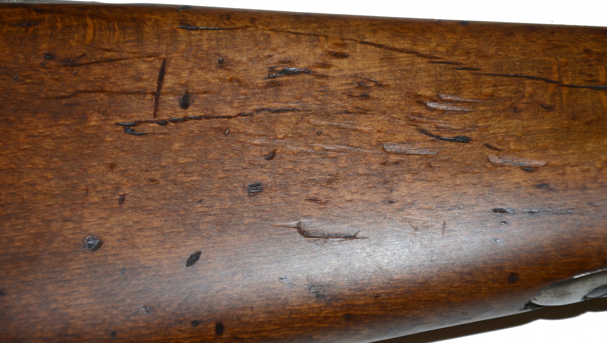 MODEL 1842 AUSTRIAN MUSKET WITH TUBE LOCK — Horse Soldier