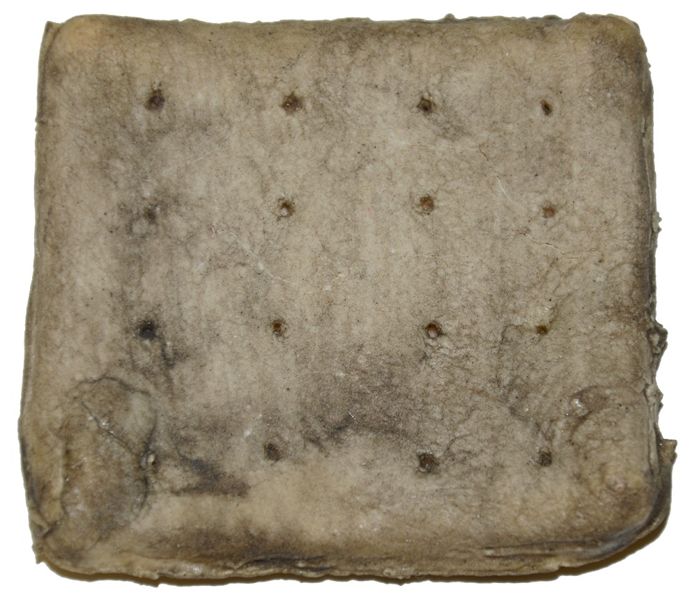 PIECE OF CIVIL WAR HARDTACK — Horse Soldier