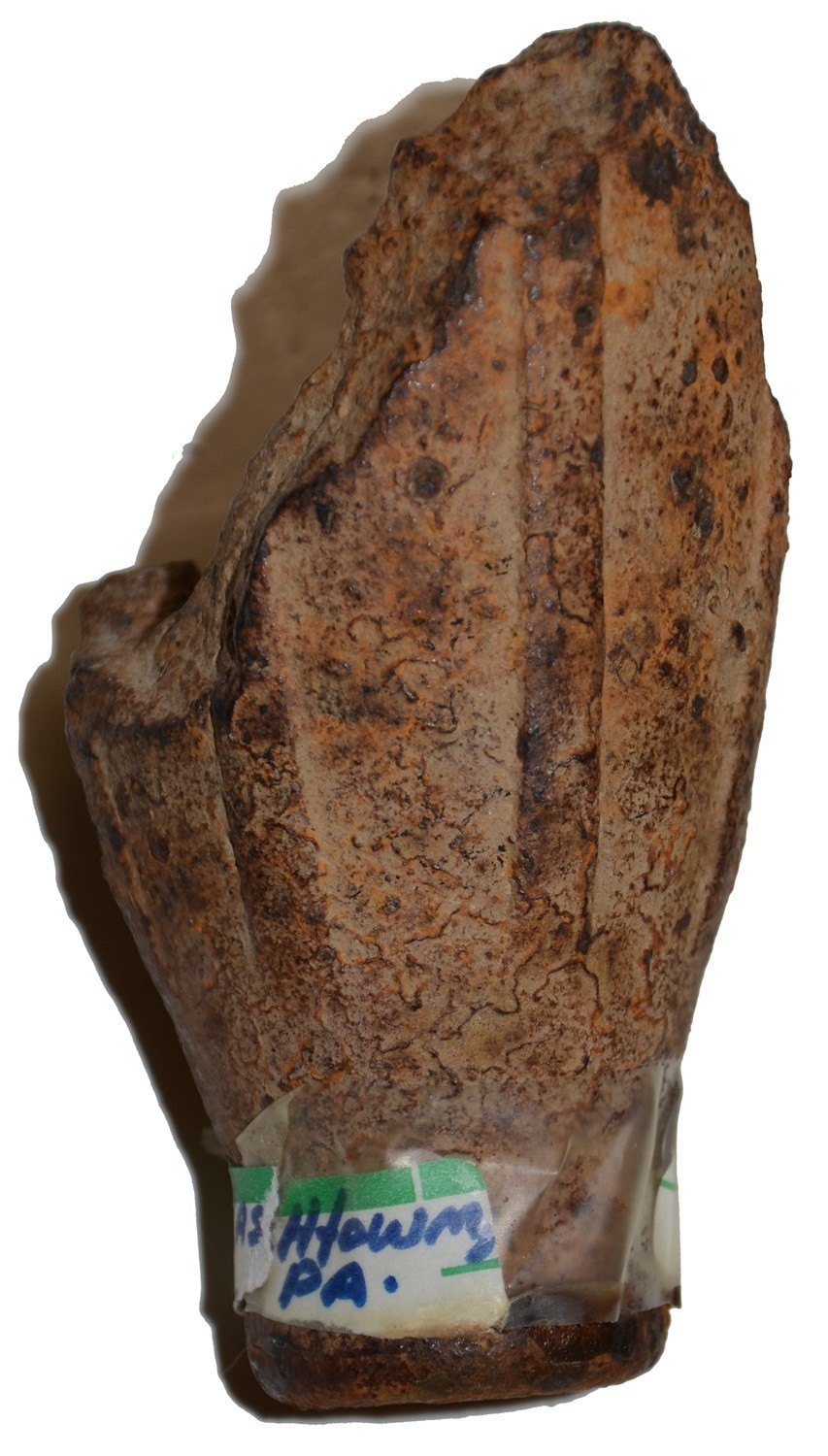 3-INCH SCHENKL SHELL FRAGMENT FROM GETTYSBURG — Horse Soldier