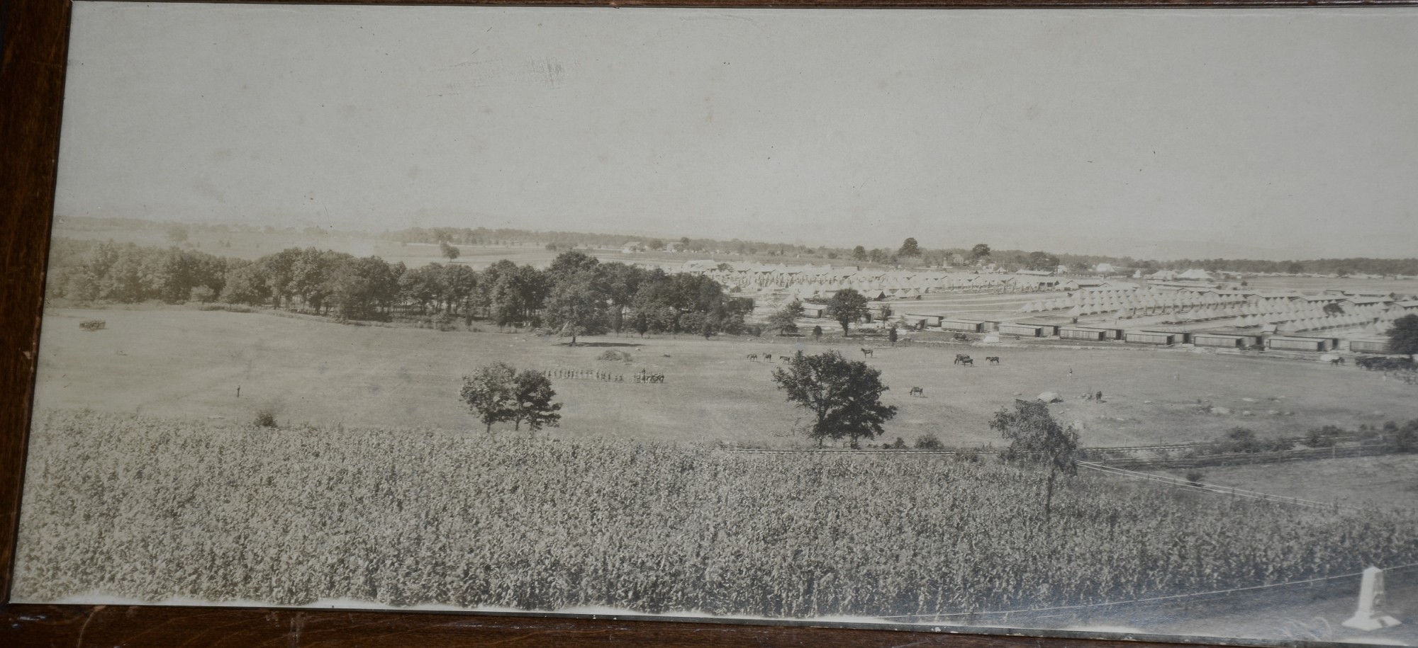 PANORAMA PHOTOGRAPH OF ARMY MOBILIZATION CAMP AT GETTYSBURG IN 1917 ...