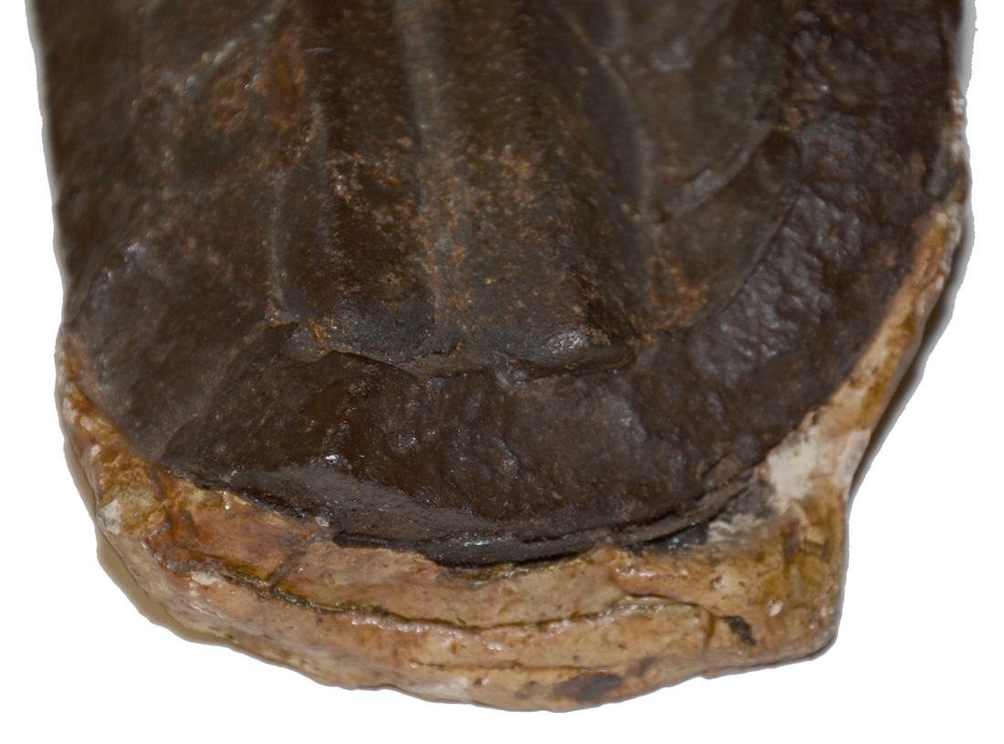 FRAGMENT OF BRITISH 3.5” BRITTEN SEGMENTED SHELL — Horse Soldier