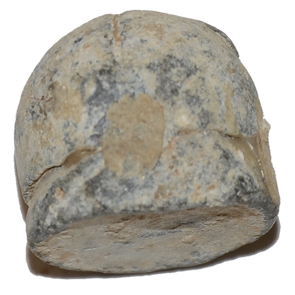 FIRED CONFEDERATE .69 CALIBER NESSLER SHOTGUN SLUG FROM THE SHIELDS ...