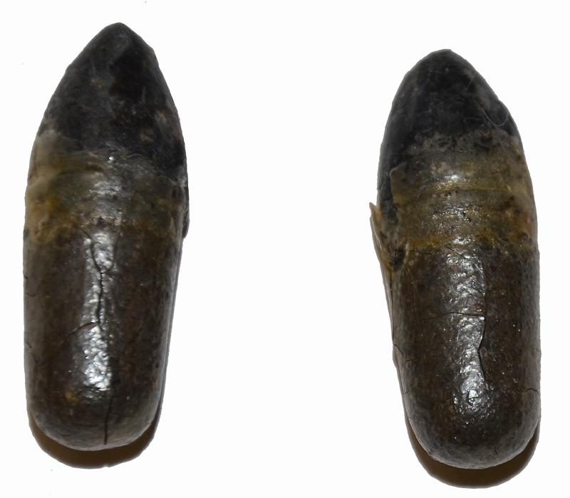 .44 CALIBER HAZARD CARTRIDGE — Horse Soldier