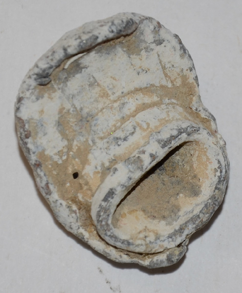 FIRED .58 CALIBER MINIE BALL FOUND IN REYNOLDS' WOODS ON THE FIRST DAY ...