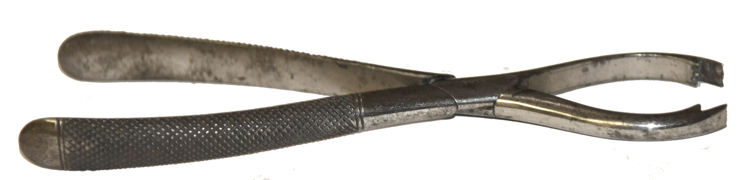 TOOTH EXTRACTOR BY WEISS — Horse Soldier