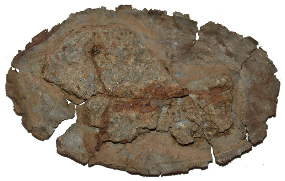 CONFEDERATE OVAL CS BELT PLATE FROM ORANGE, VIRGINIA — Horse Soldier