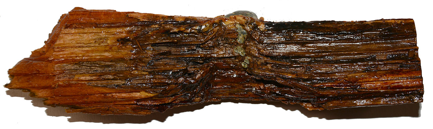 BULLET IN WOOD FROM THE WILDERNESS — Horse Soldier