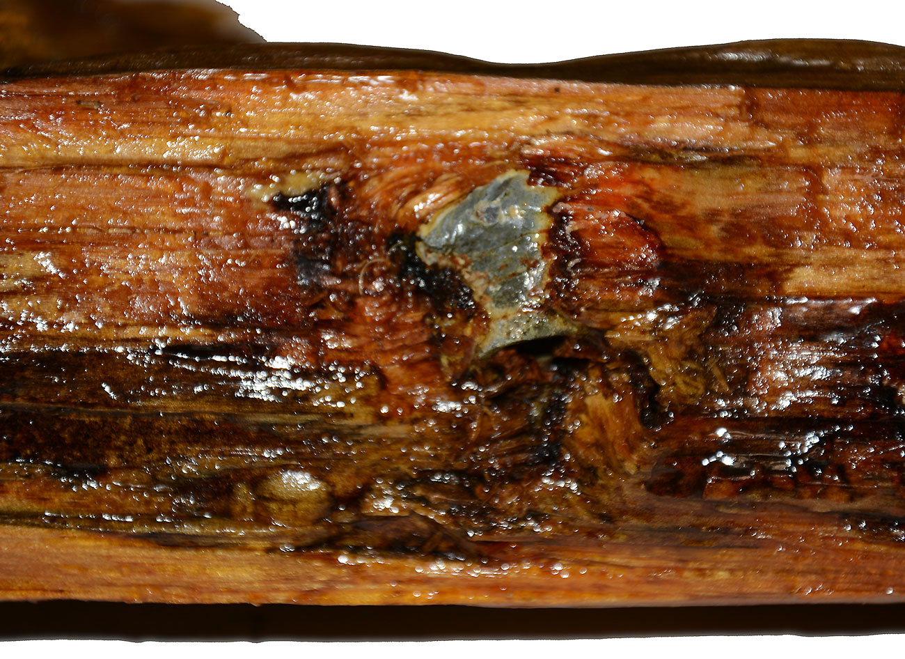 BULLET IN LARGE PIECE OF WOOD FROM THE WILDERNESS — Horse Soldier