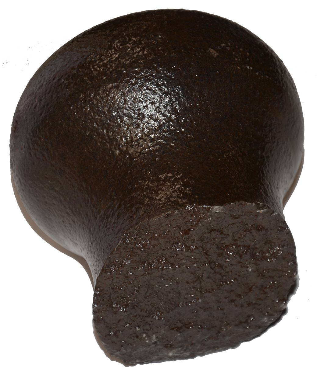 IRON CASCABEL FROM EXPLODED 12-POUNDER CANNON — Horse Soldier