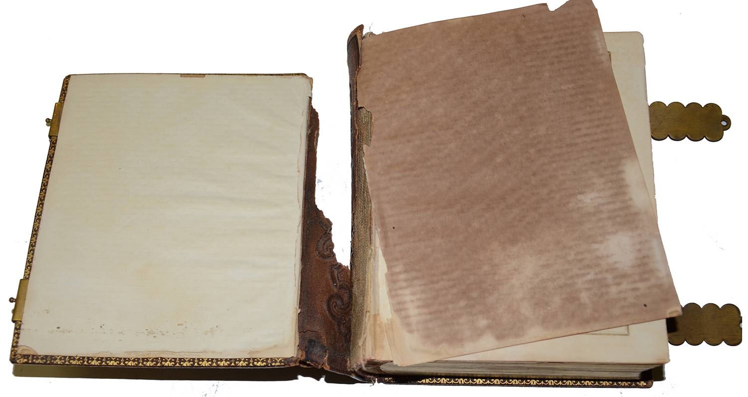 CDV ALBUM OF CIVILIAN IMAGES, ALONG WITH TWO MILITARY IMAGES — Horse ...