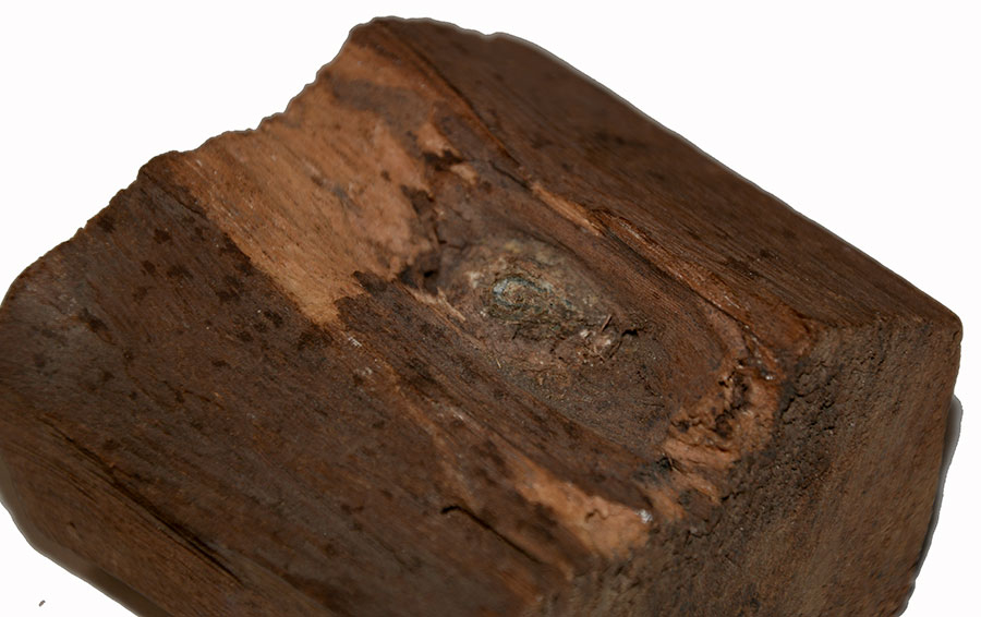 BULLET IN WOOD FROM CULP’S HILL, GETTYSBURG — Horse Soldier