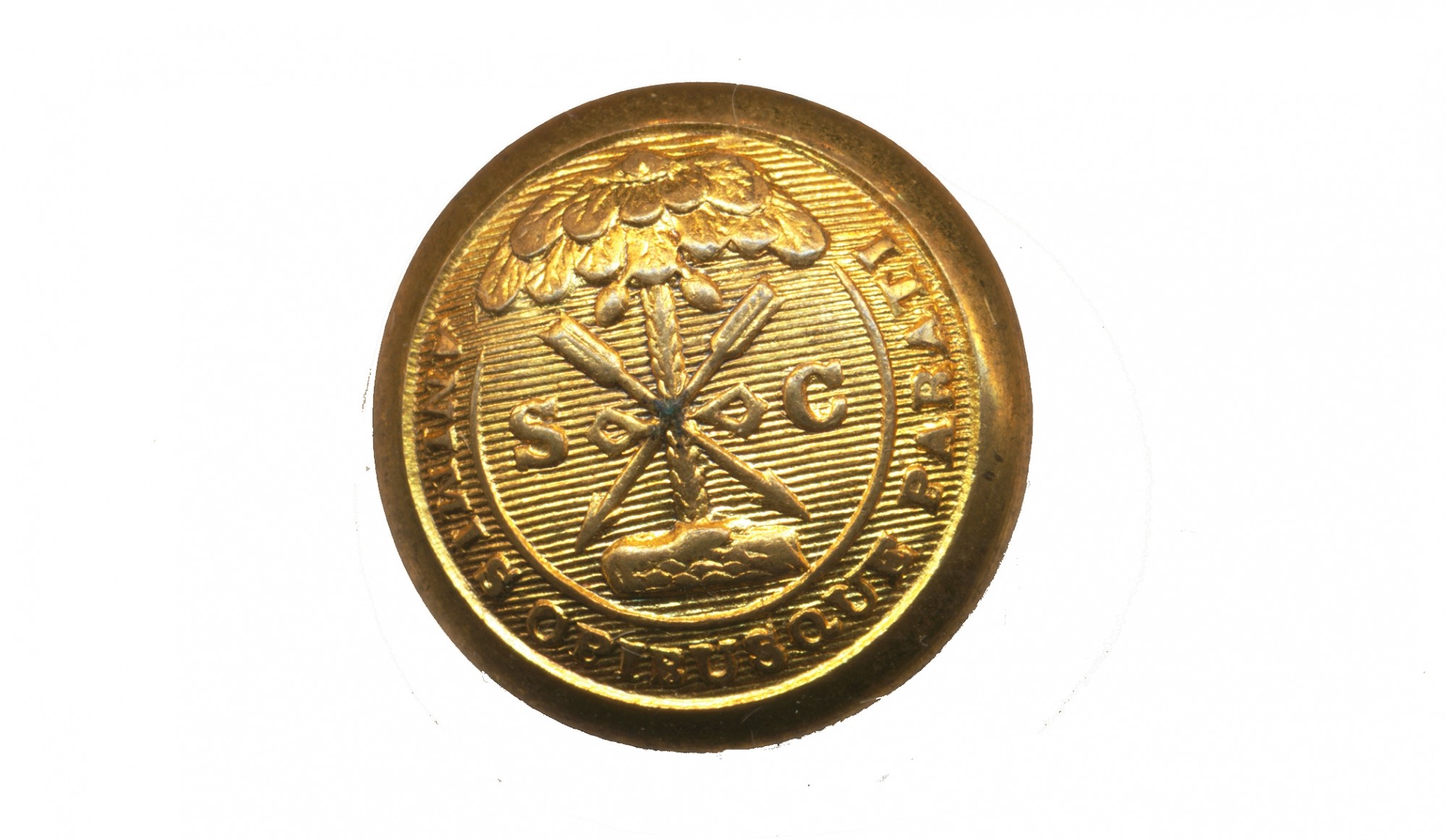 SOUTH CAROLINA CADET BUTTON (18MM) — Horse Soldier