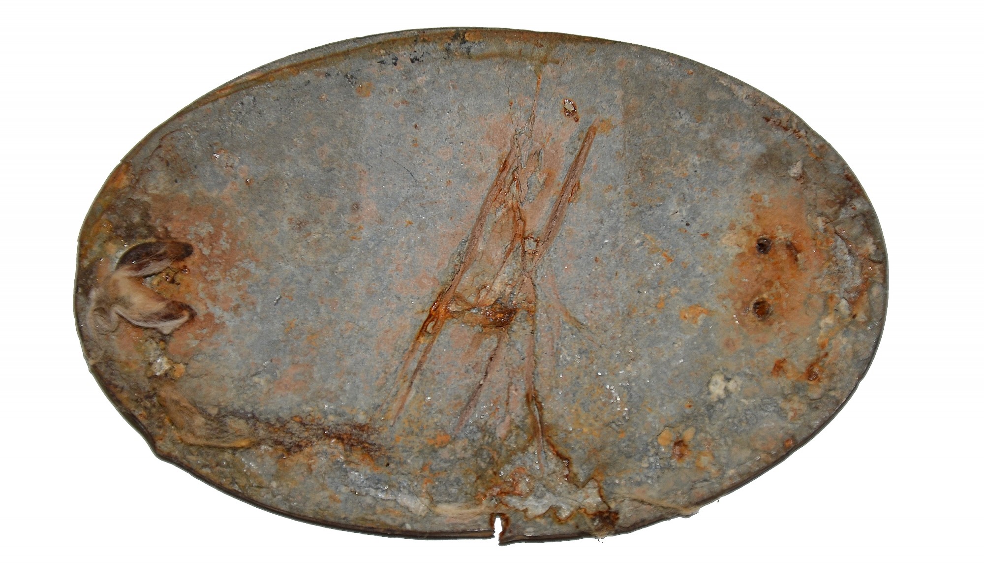 DUG GETTYSBURG CARTRIDGE BOX PLATE — Horse Soldier