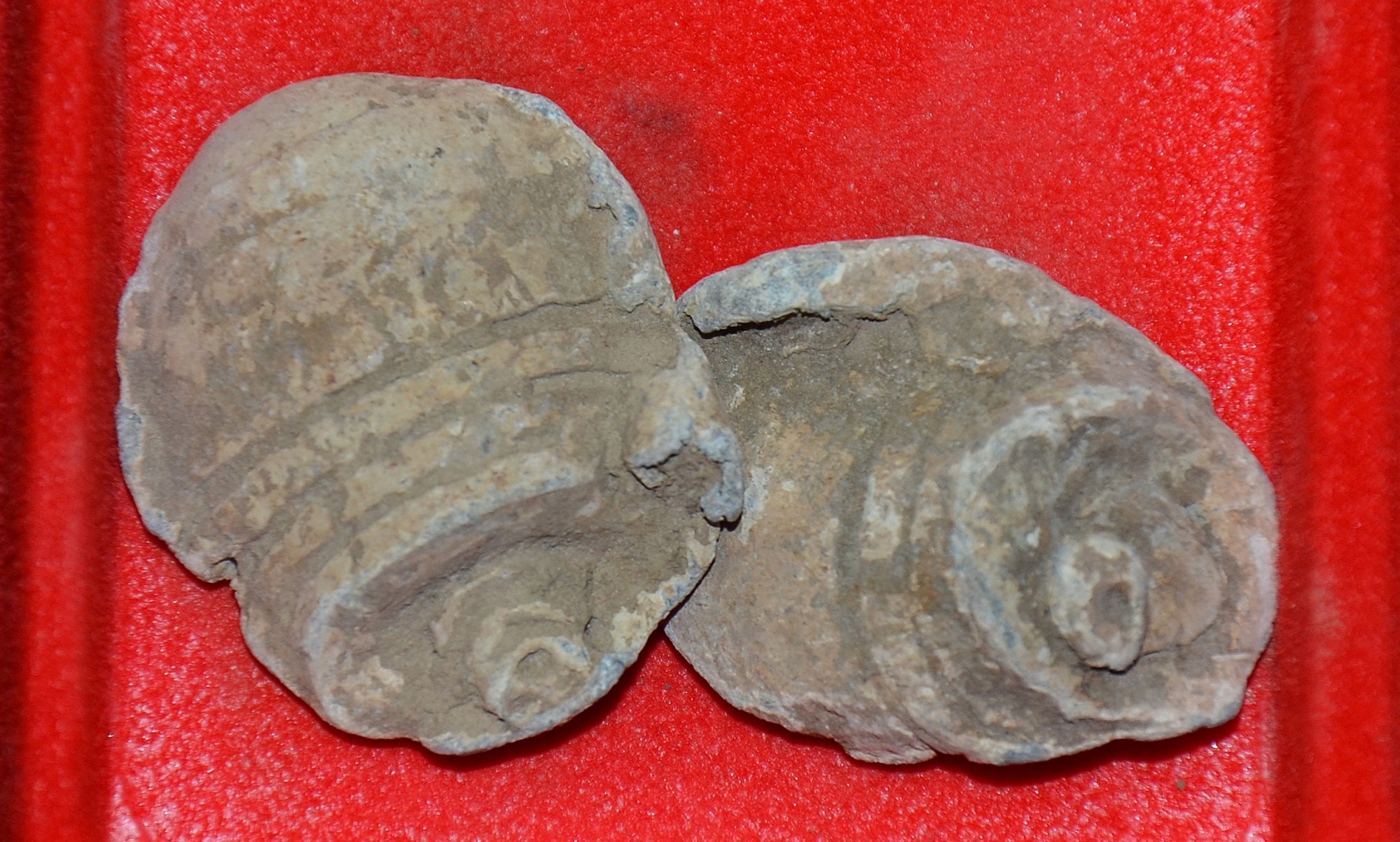 FIRED WILLIAMS CLEANER BULLET, TYPE I - GETTYSBURG — Horse Soldier